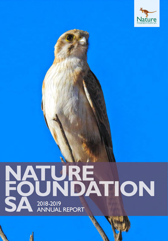Nature Foundation - Corporate Publications